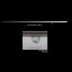 Antialiasing Explained! - 3D Printing with Resin